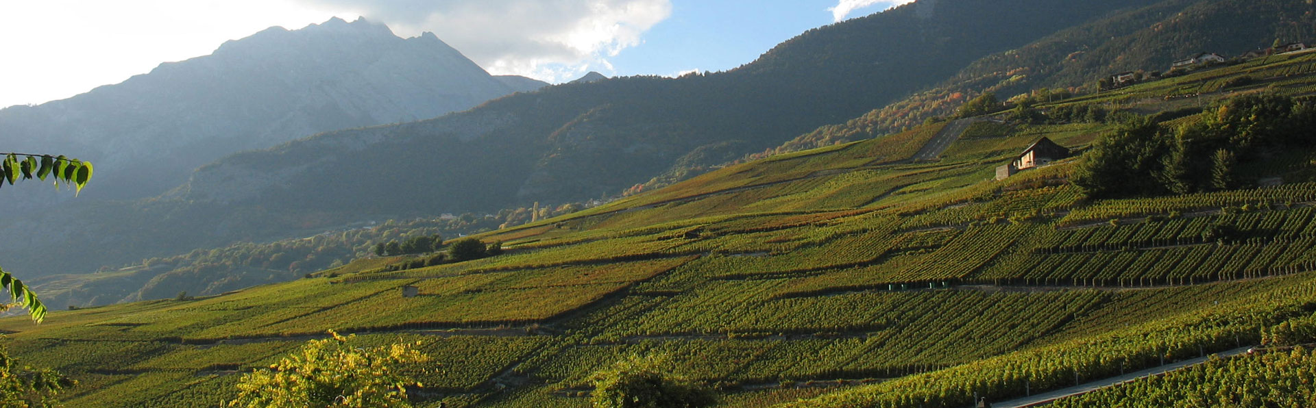 Mayens de Conthey :: Office du Tourisme Conthey - Région